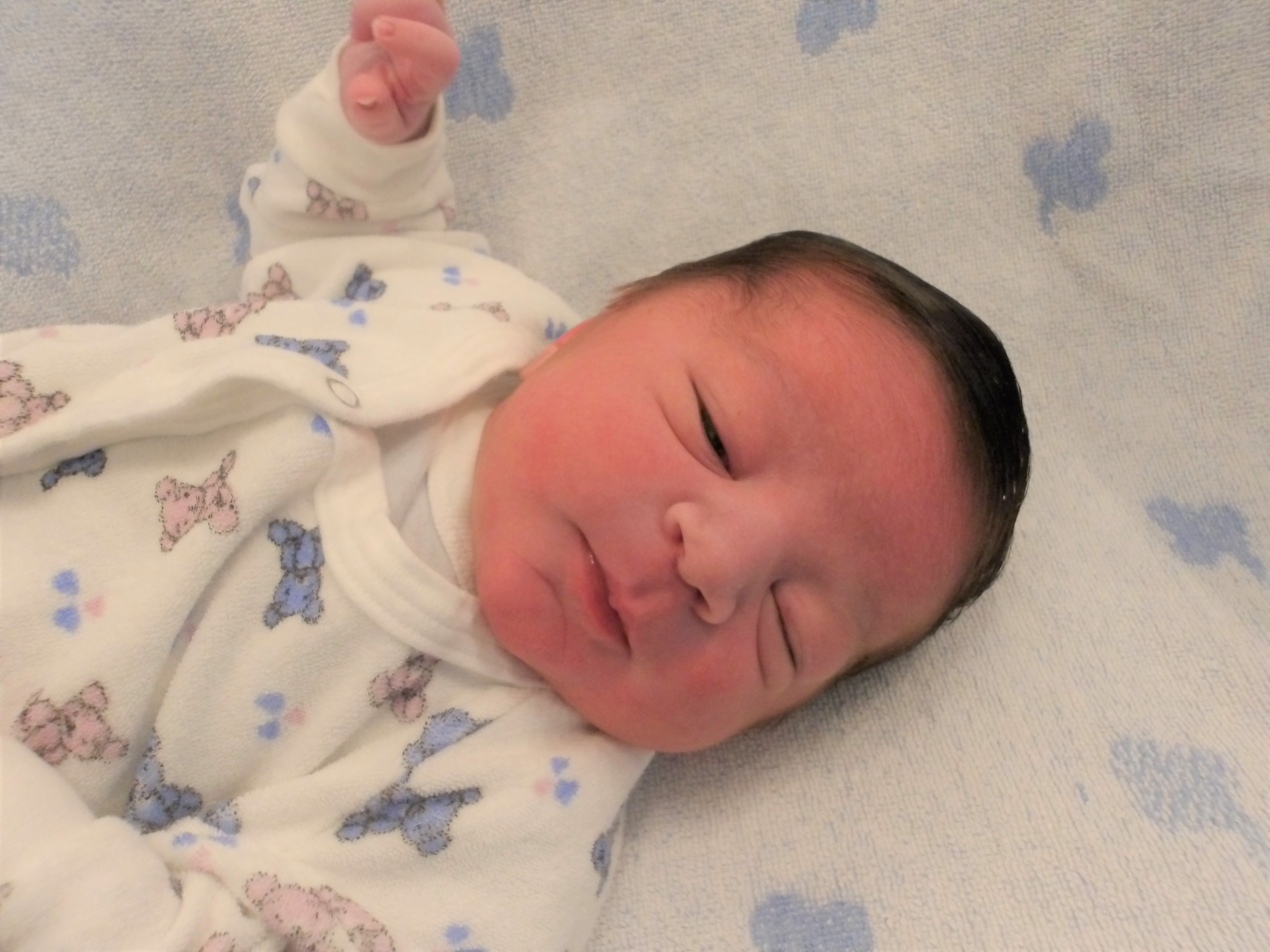 Babygalerie | Diak Klinikum